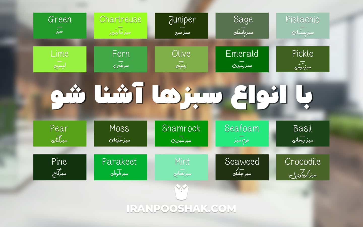 کد انواع رنگ سبز | مکمل های رنگ سبز